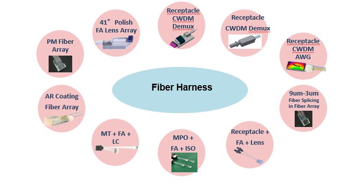 Fiber Harness|5G Telecommunication|Applications|波若威科技 Browave